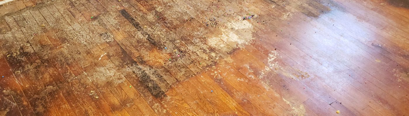 7 Signs Your Timber Floors Need Resurfacing